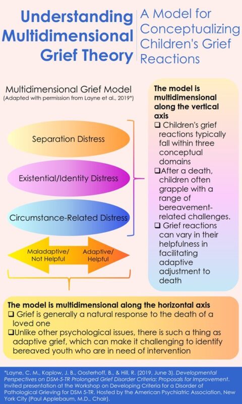Grief and Bereavement in Children and Adolescents | International ...