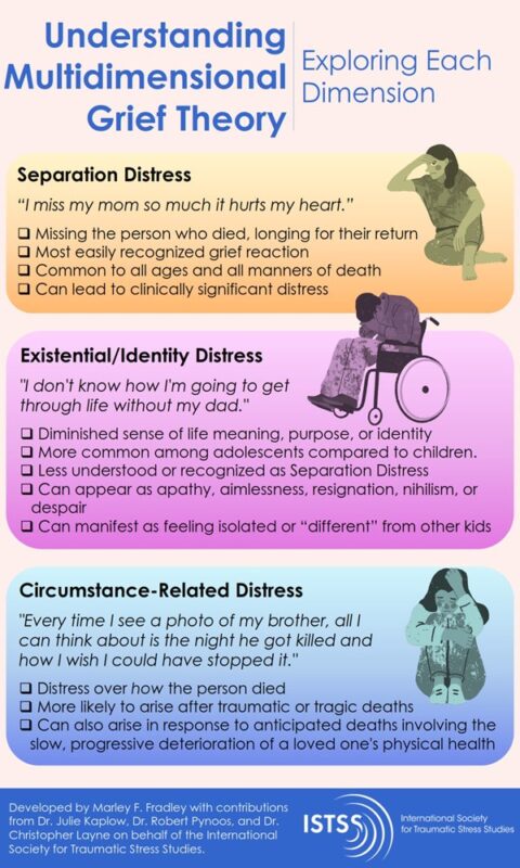 Grief and Bereavement in Children and Adolescents | International ...