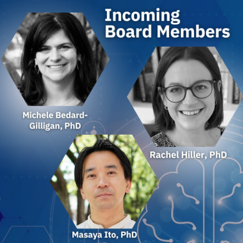 International Society for Traumatic Stress Studies