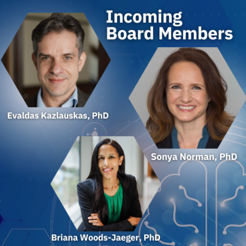 International Society for Traumatic Stress Studies